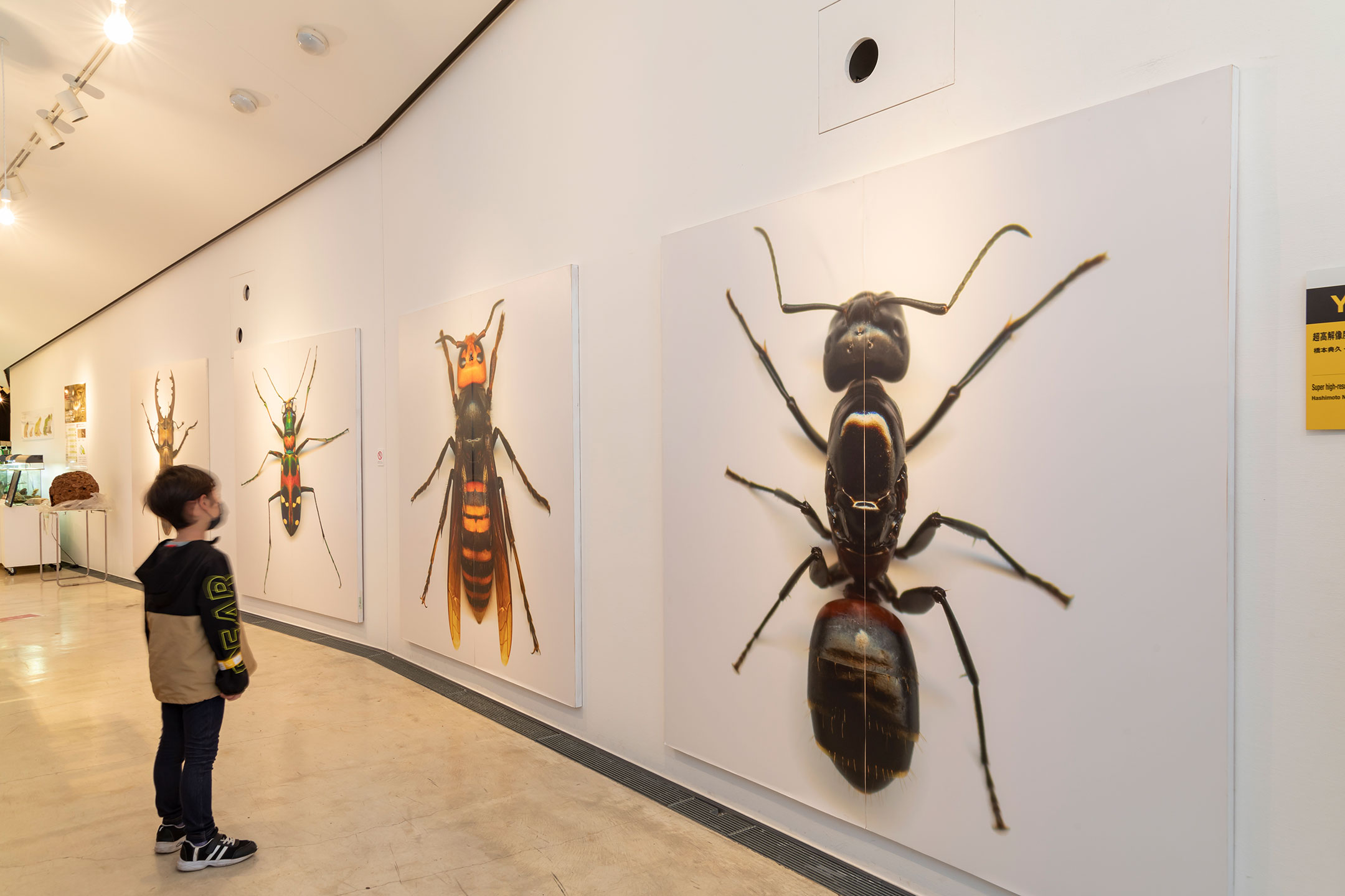 JIKU #013 HOKUHOKU-LINE Course (only on 17 and 24 Sep and 15 and 22 Oct ...